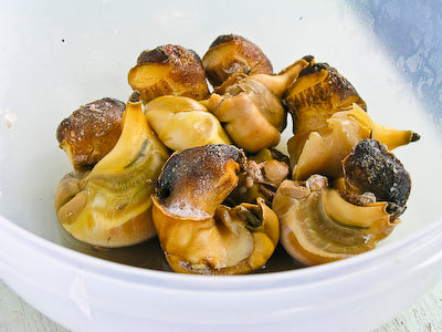 Ngolo/Sea Snails (50g) | The Best Nigerian Food in Kigali